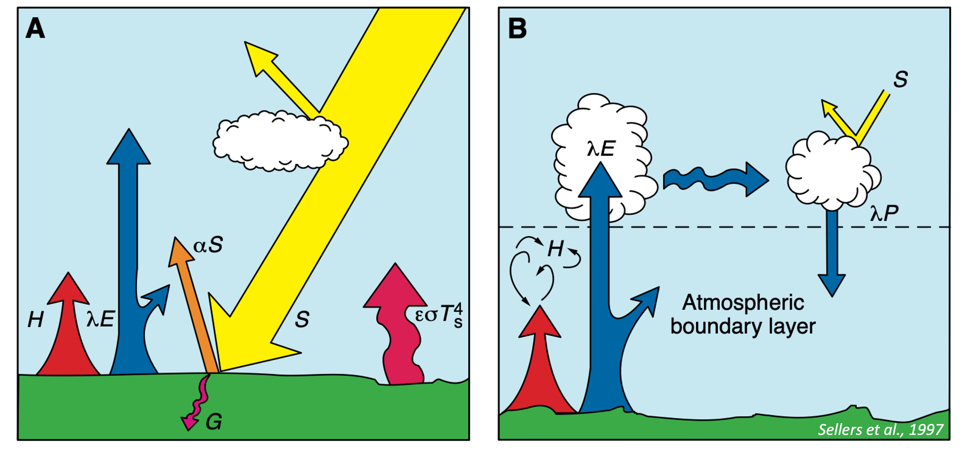 1. Land surface model 개요 — KNU 2025 Sever Weather Summer school
